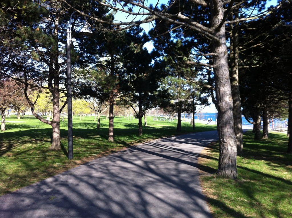 Toronto lakefront path – a sibilant intake of breath