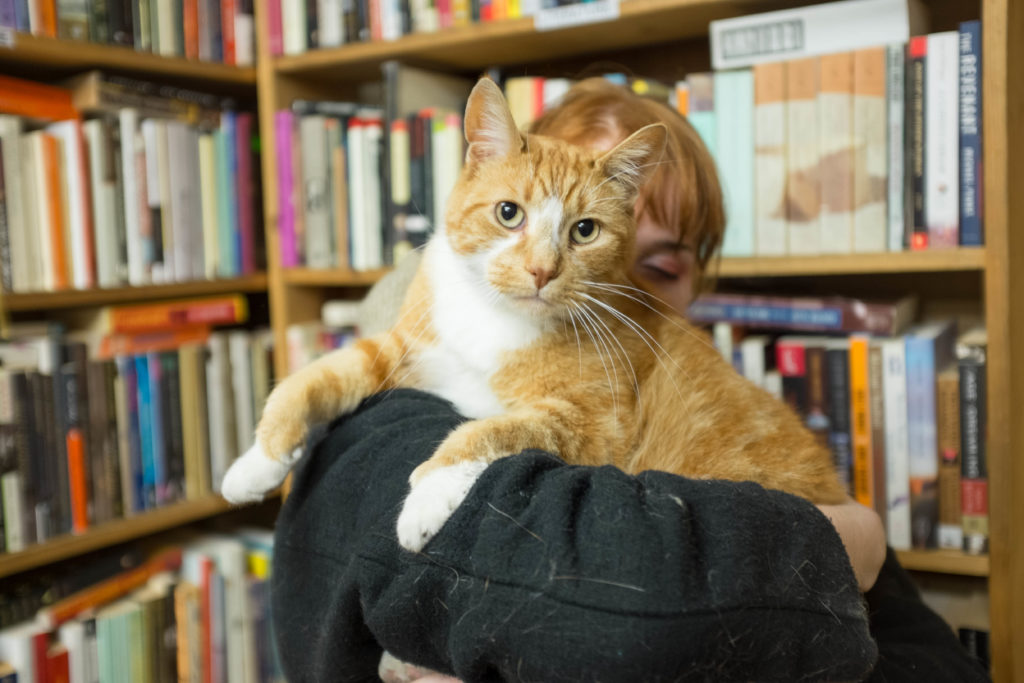 Val the bookshop cat – a sibilant intake of breath