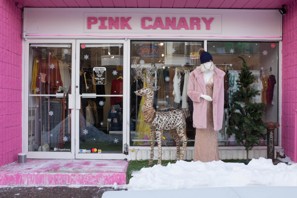 Pink Canary – a sibilant intake of breath