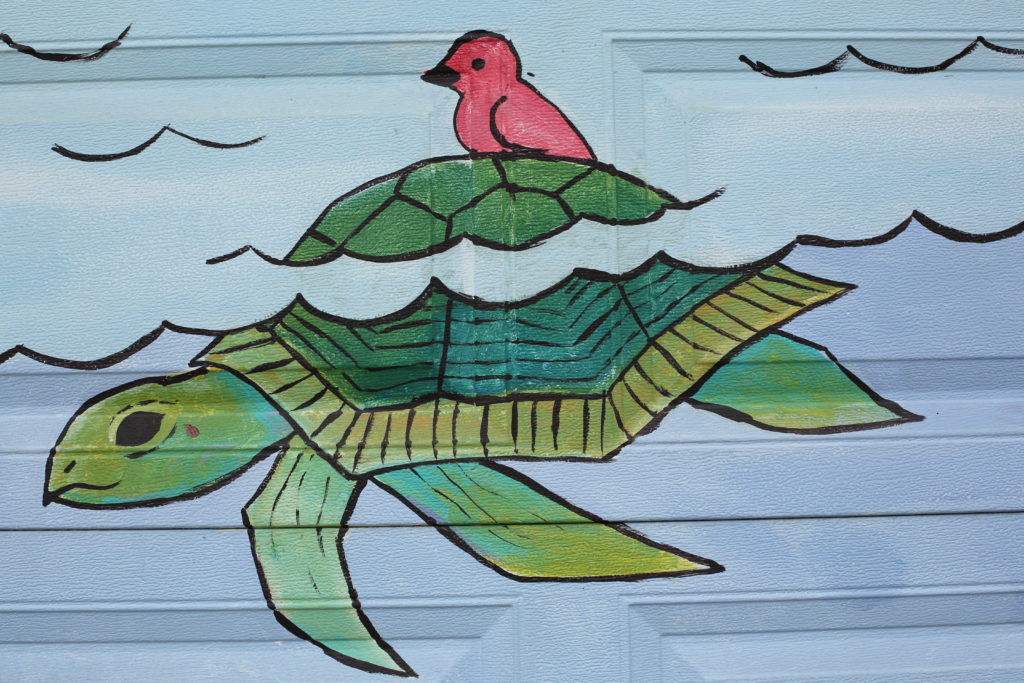 Bird riding turtle – a sibilant intake of breath